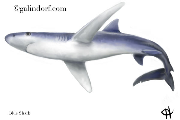 New Page 6 [www.znanje.org]